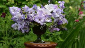 Flowers That Mean Goodbye - Top 18 Blooms for Farewell